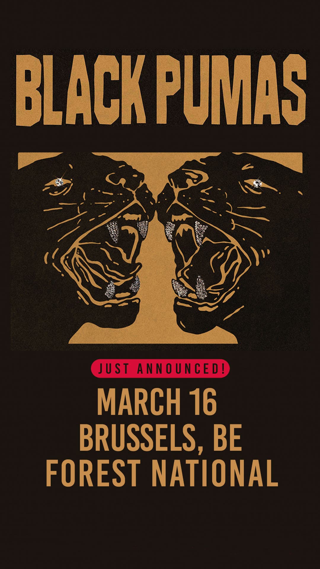 Vorst Nationaal | Vorst Nationaal